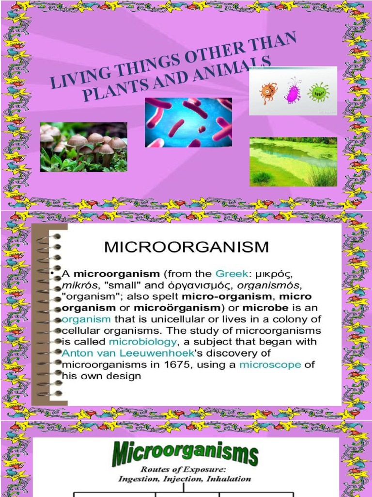 Living Things Other Than Plants and Animals | PDF