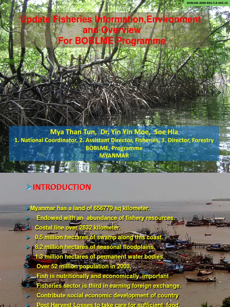 Update Fisheries Information, Environment and Overview For BOBLME Programme Myanmar Country ...