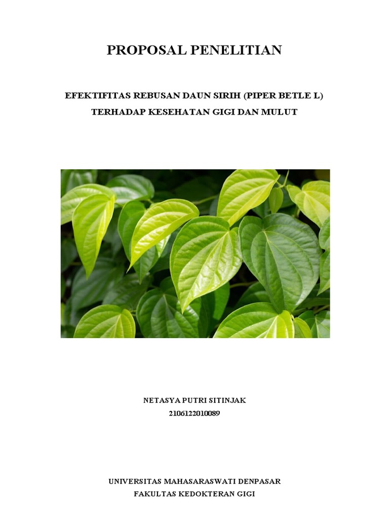 Daun Sirih | PDF
