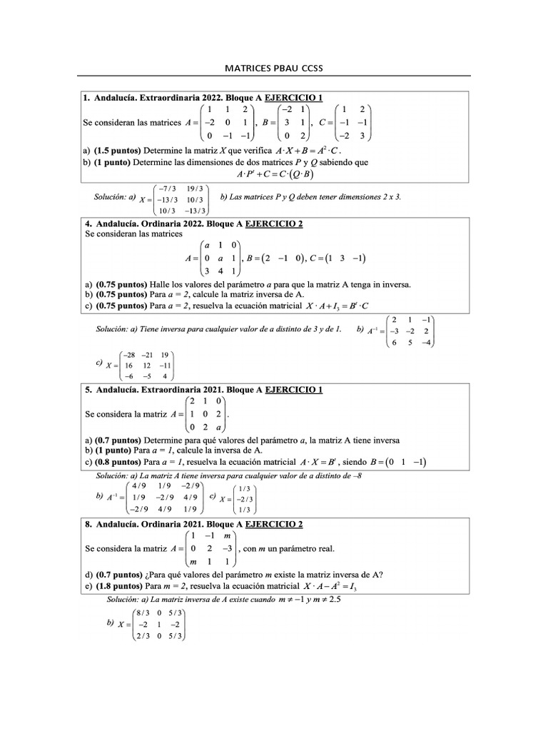 Problemas Matrices PBAU CCSS 2017-22 | PDF
