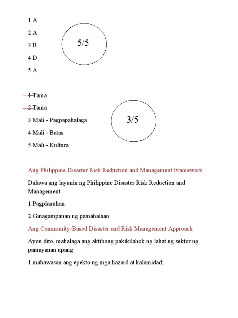 Ang Philippine Disaster Risk Reduction and Management Framework | PDF