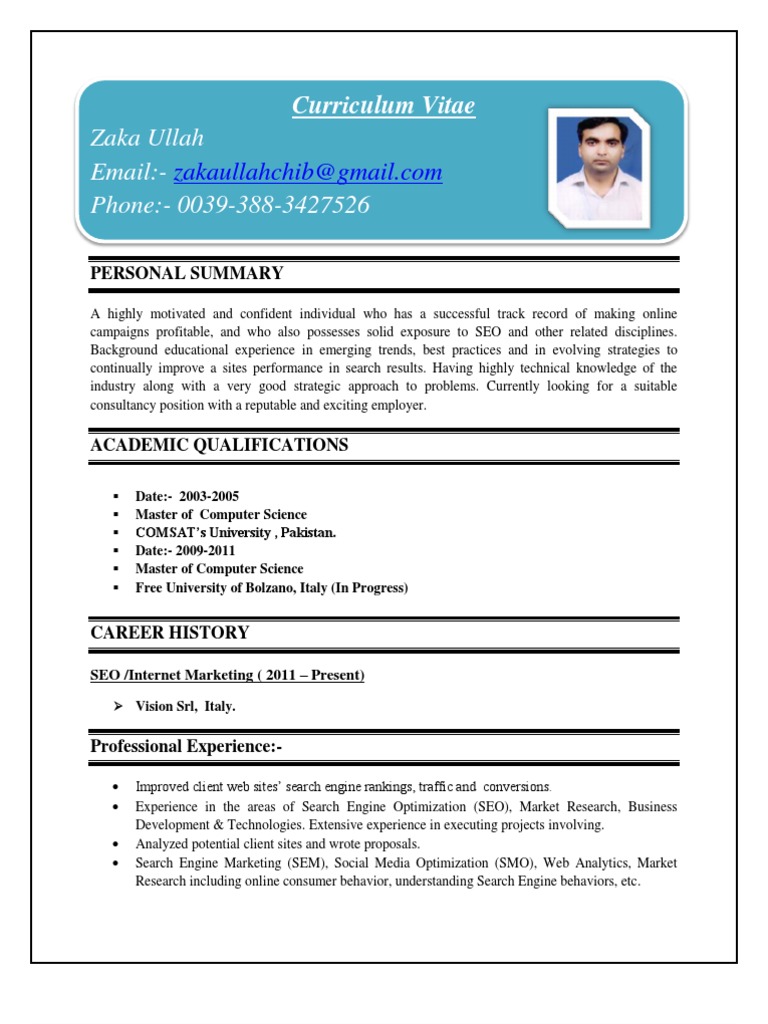 Curriculum Vitae Sample | PDF | Search Engine Marketing | Search Engine Optimization