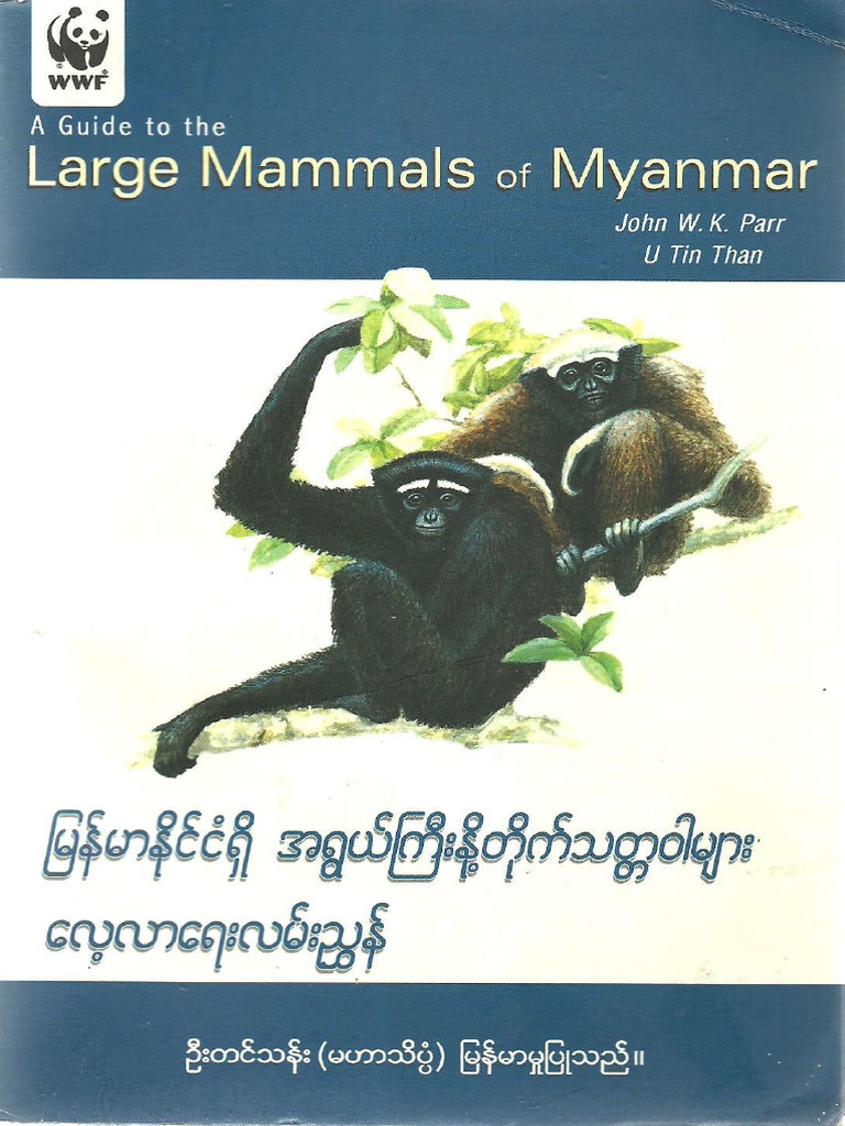 Field Guide Mammals of Myanmar by U Tin Than | PDF