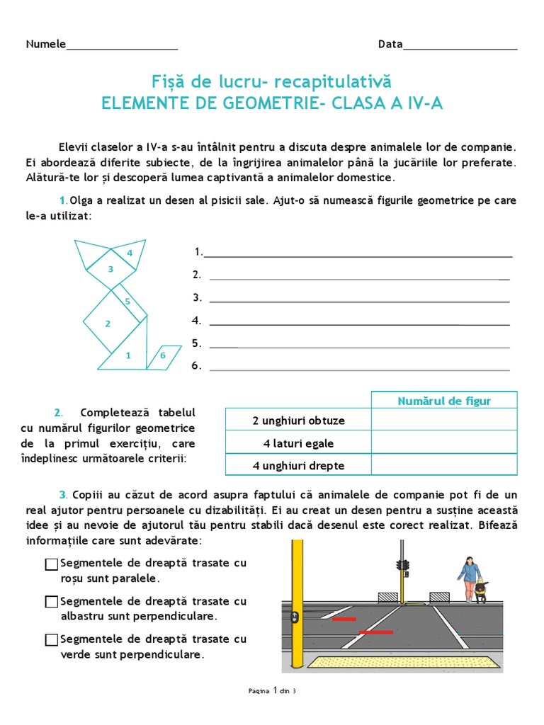 Fisa Geometrie | PDF