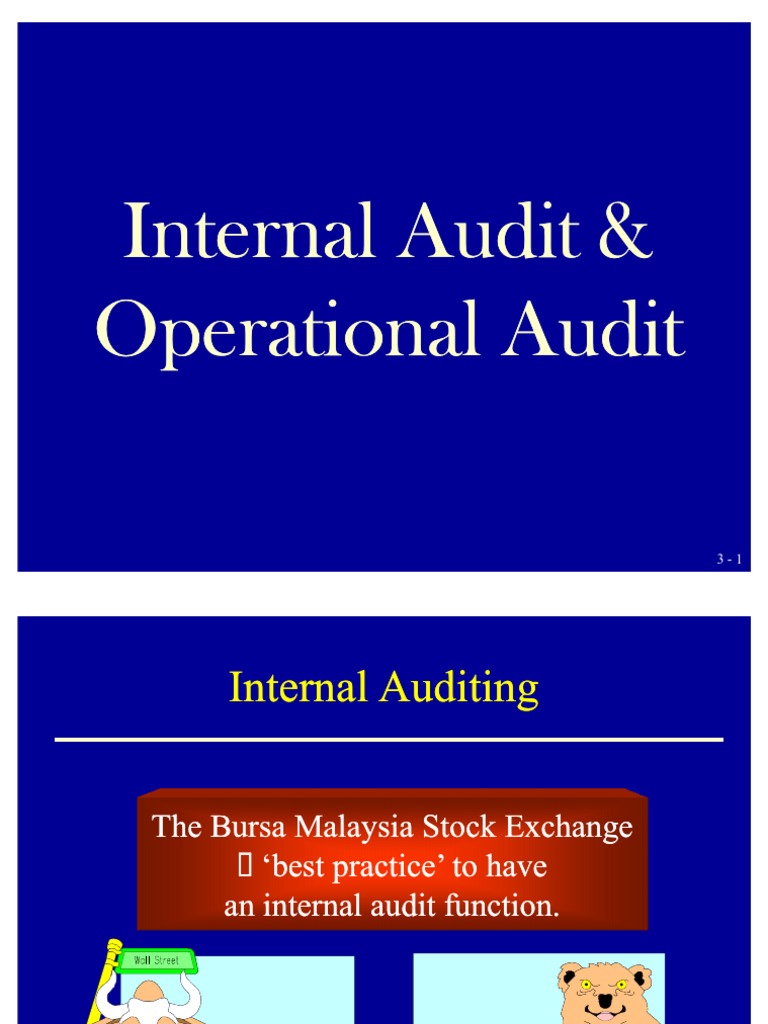 Understanding Operational Auditing | PDF