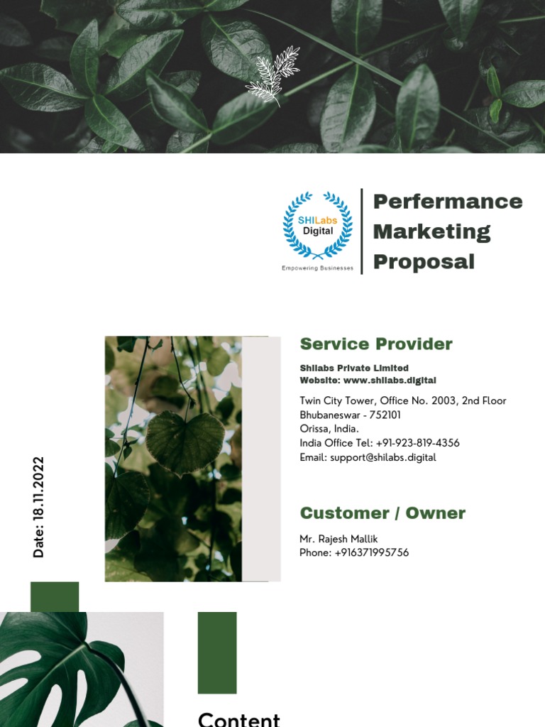 Digital Marketing For Ayurveda Products | PDF | Advertising | Digital Marketing