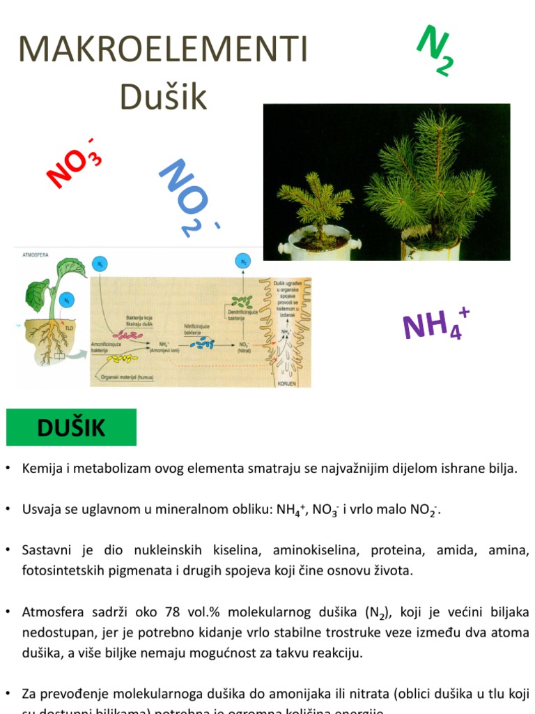 Predavanje 6 Dušik | PDF