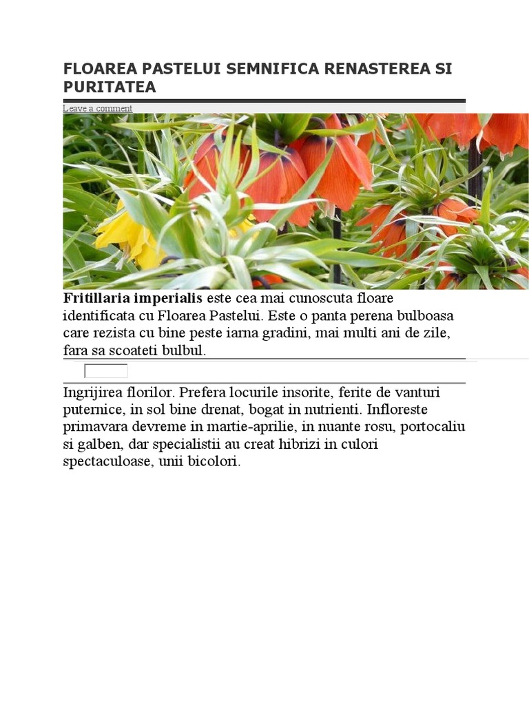 Floarea Pastelui | PDF