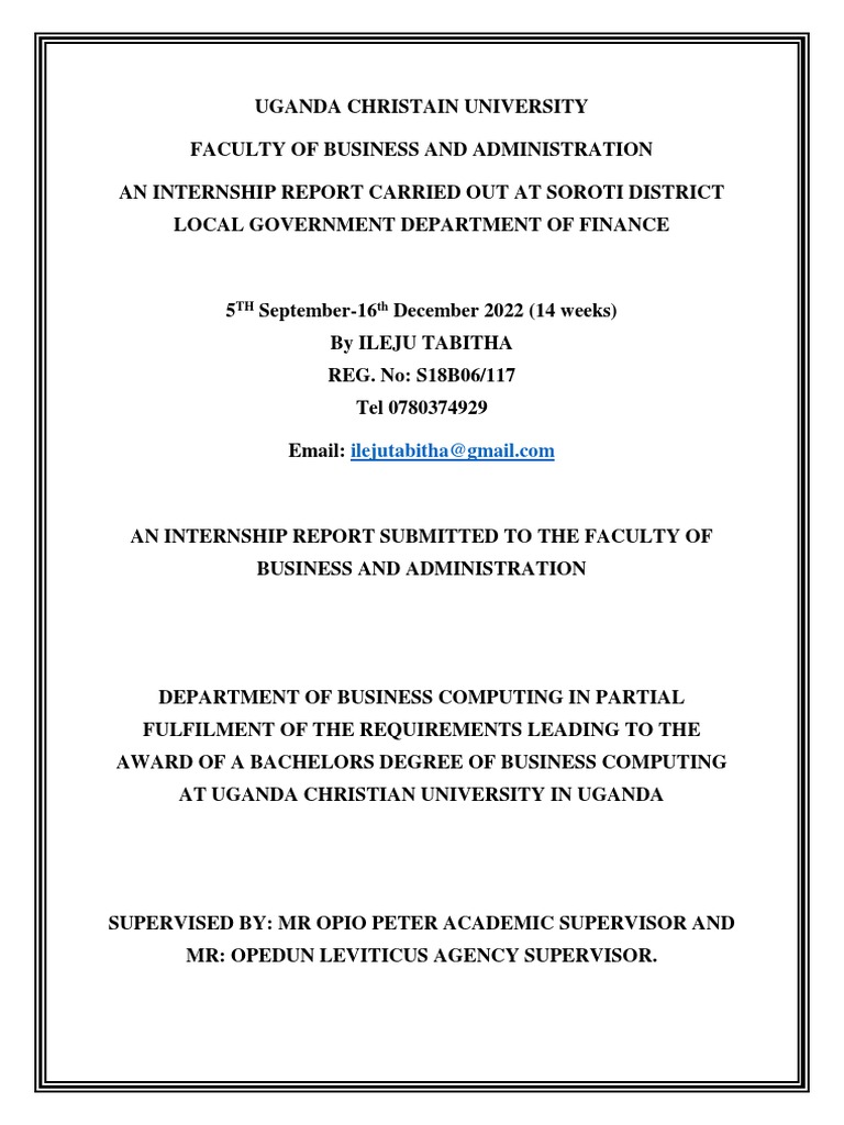 Work Report | PDF | Internship | Job Hunting