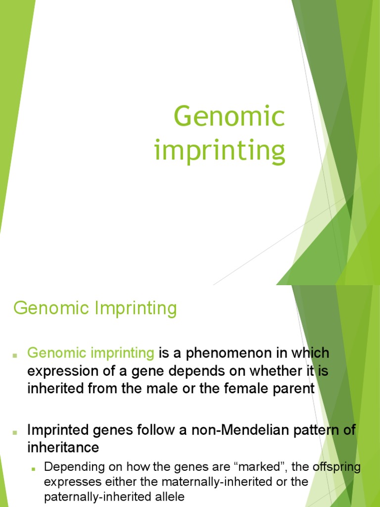Genomic Imprinting | PDF | Dna Methylation | Allele