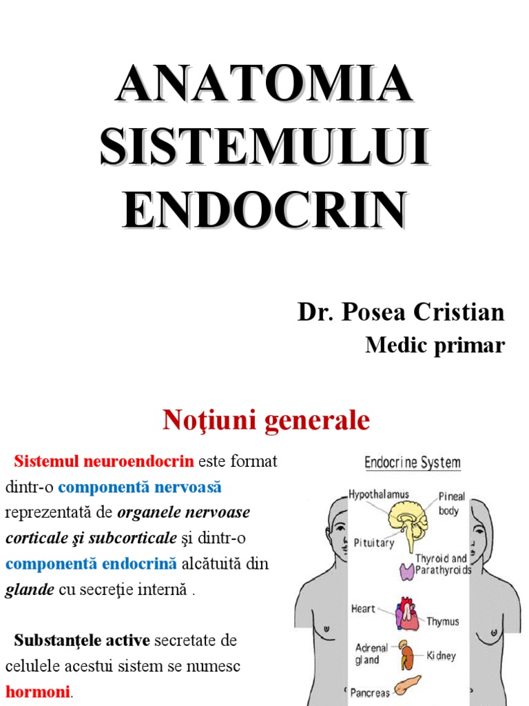 Sistemul Endocrin | PDF