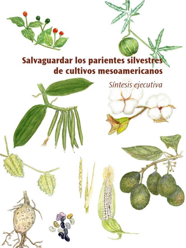 Sintesis Salvaguardando Parientes Silvestres | PDF | Especies invasivas ...
