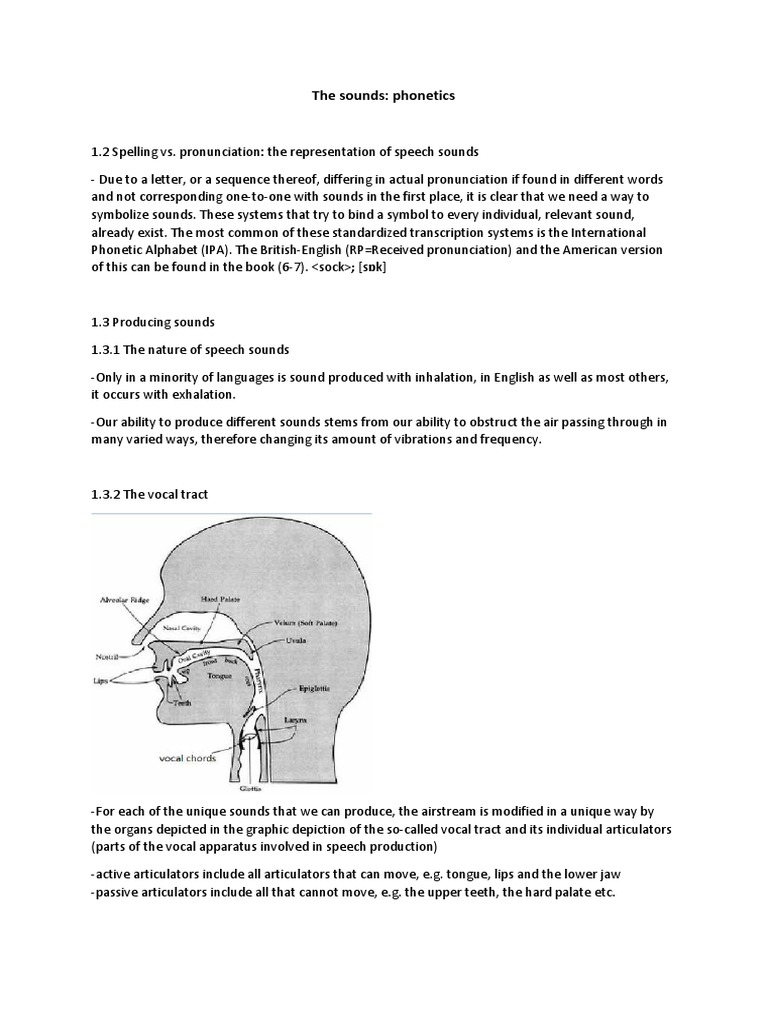 Phonetics for Linguistics Students | PDF | Phonetics | Vowel