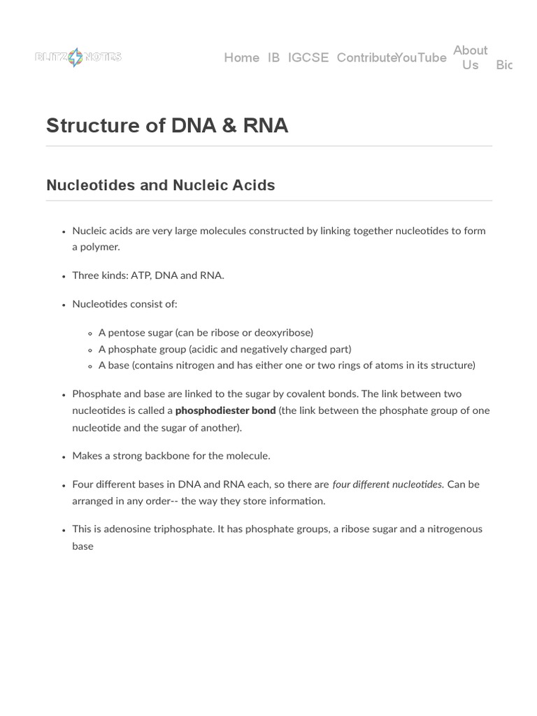 2.6 Structure of DNA & RNA | PDF | Nucleotides | Dna