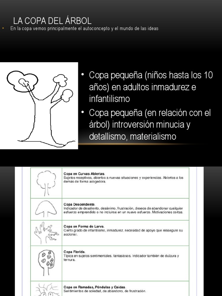 La copa del árbol y su significado | PDF