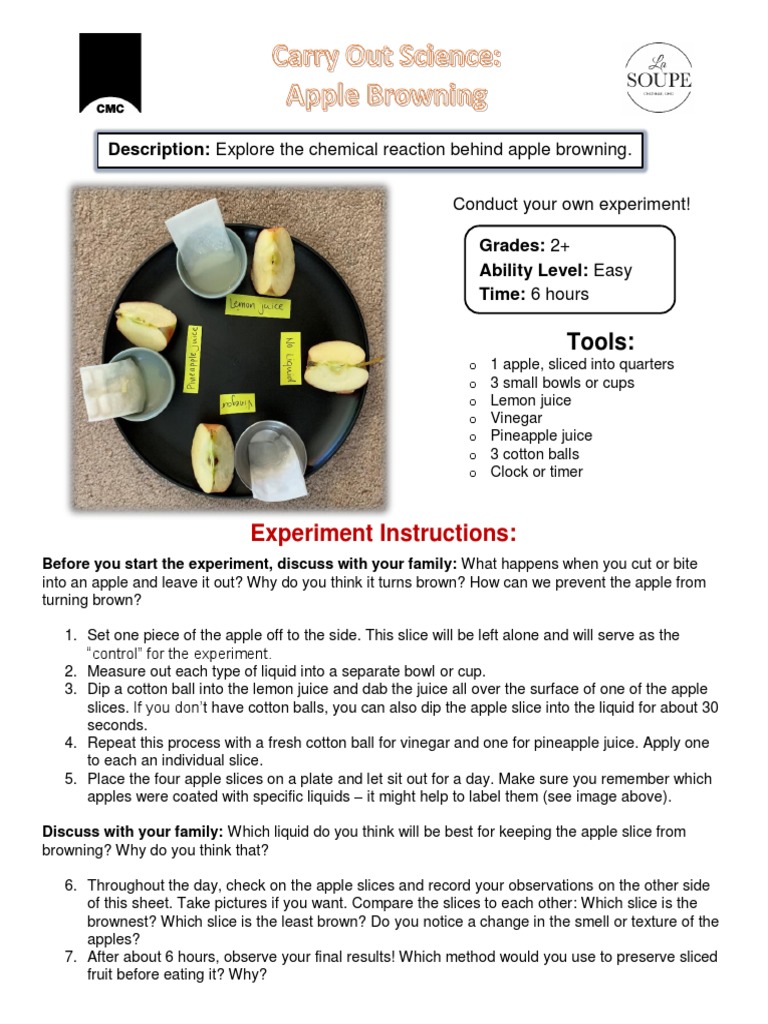 Preventing Apple Browning Experiment | PDF | Apple | Chemistry