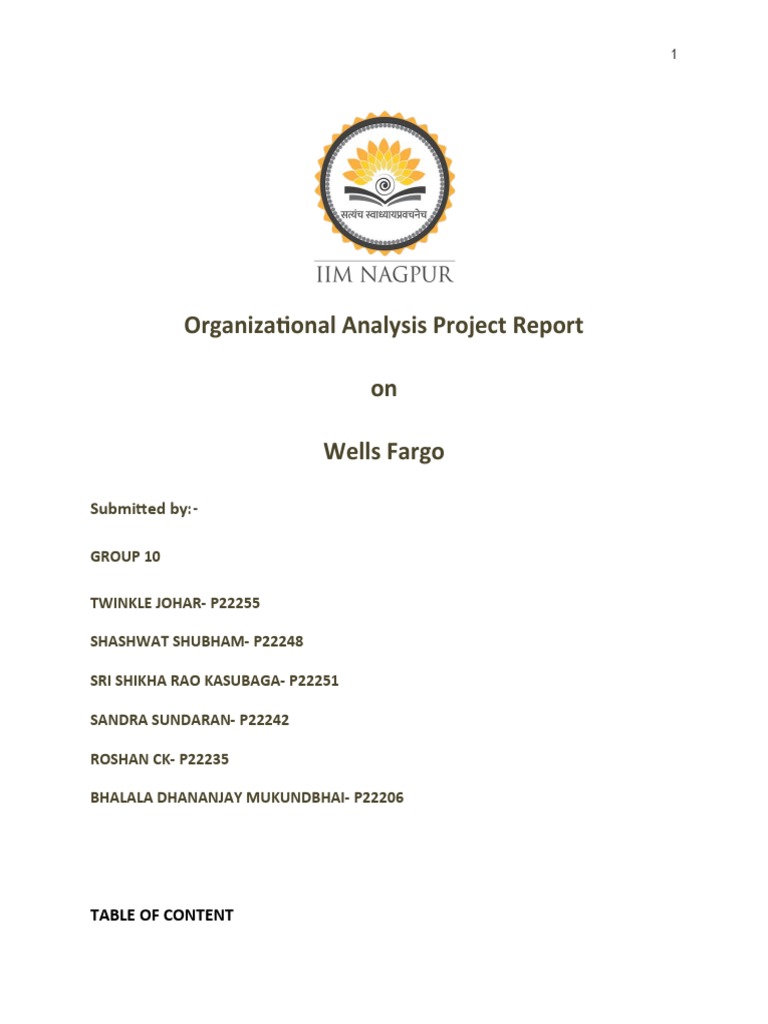 Organizational Analysis Project Report | PDF