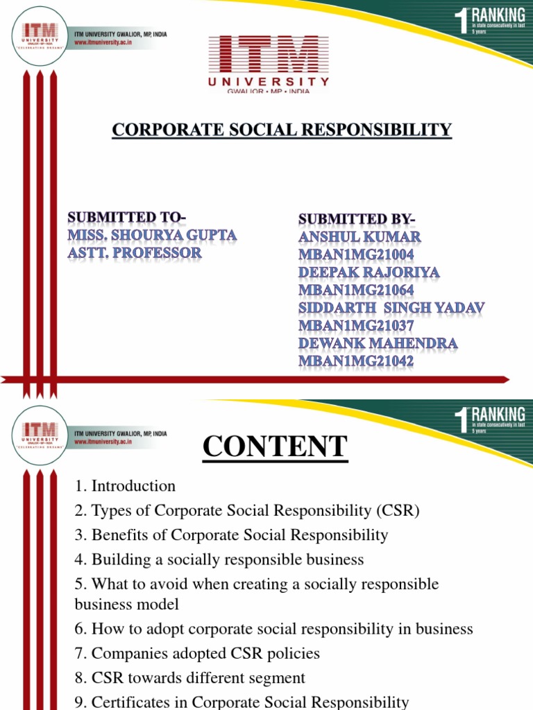 Guide to Corporate Social Responsibility | PDF | Corporate Social Responsibility | Economies