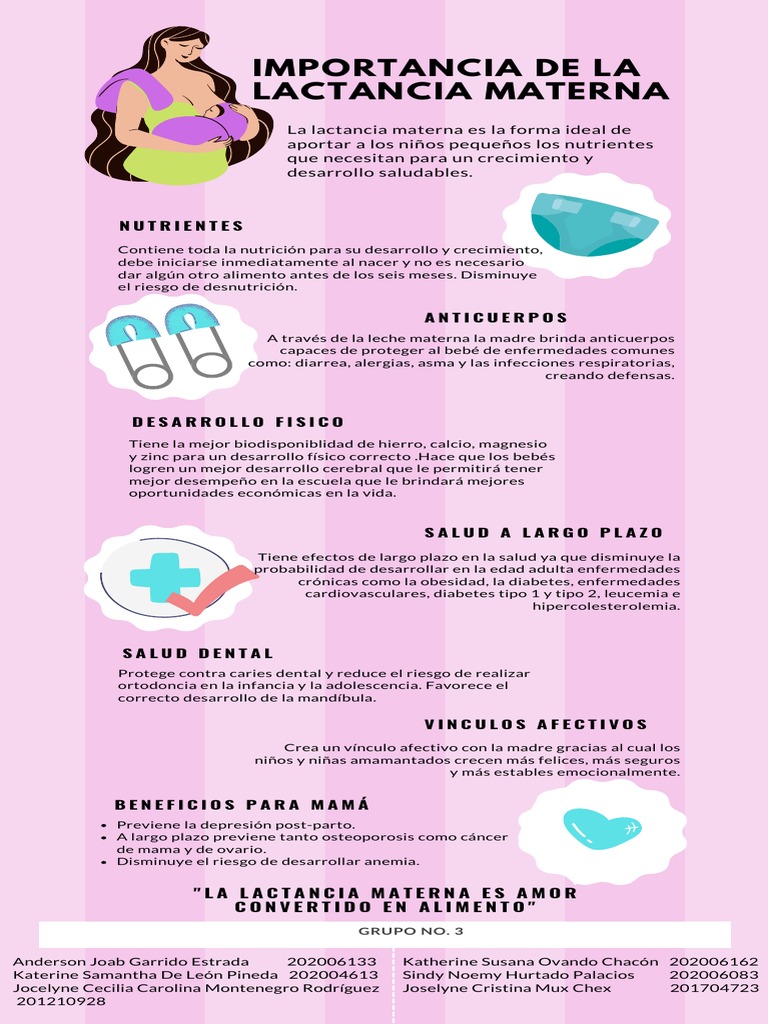 Infografía Lactancia Materna Pdf Amamantamiento Ciencias De La Salud