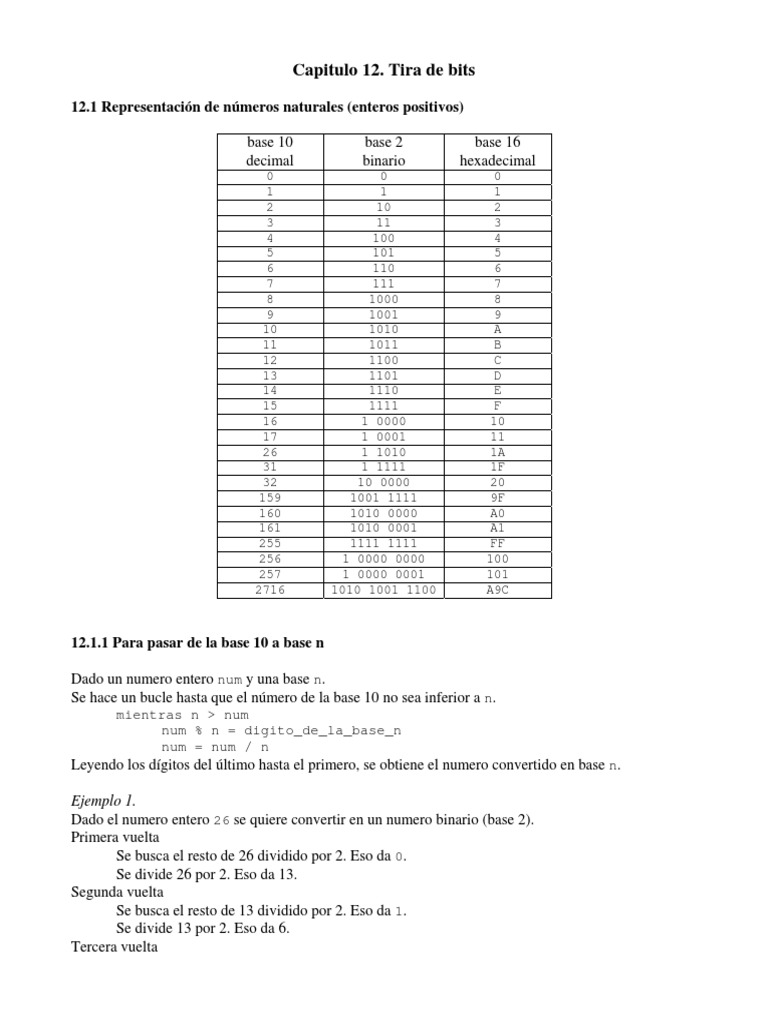 Borrador Cap. 12 Tira de Bits | PDF