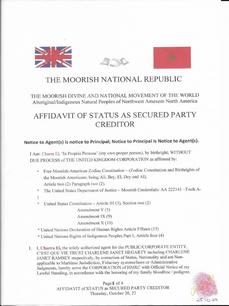 Affidavit of Status As SPC | PDF