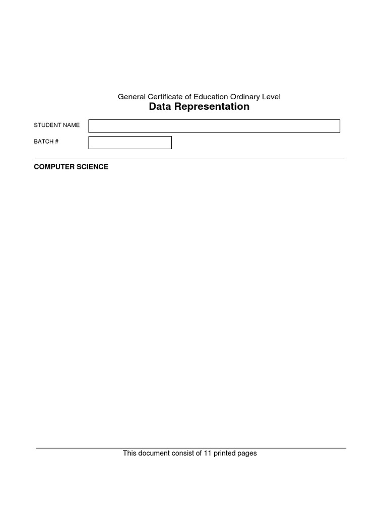 Data Representation | PDF | Bit | Computing