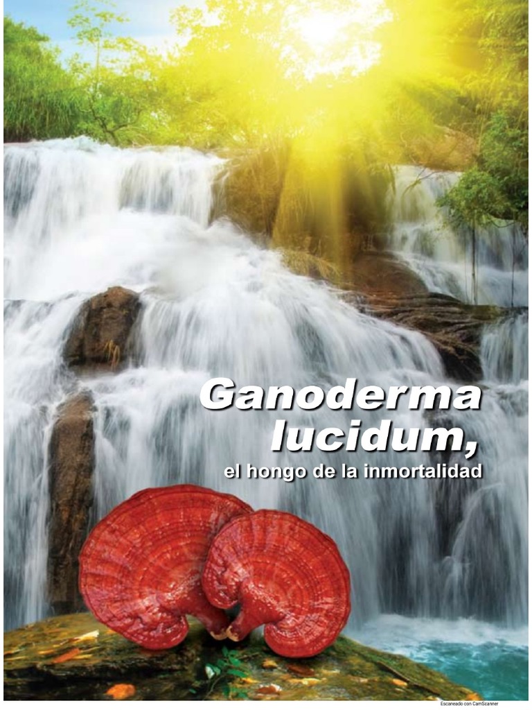 Libro Verde Ganoderma Lucidum Gano Excel | PDF