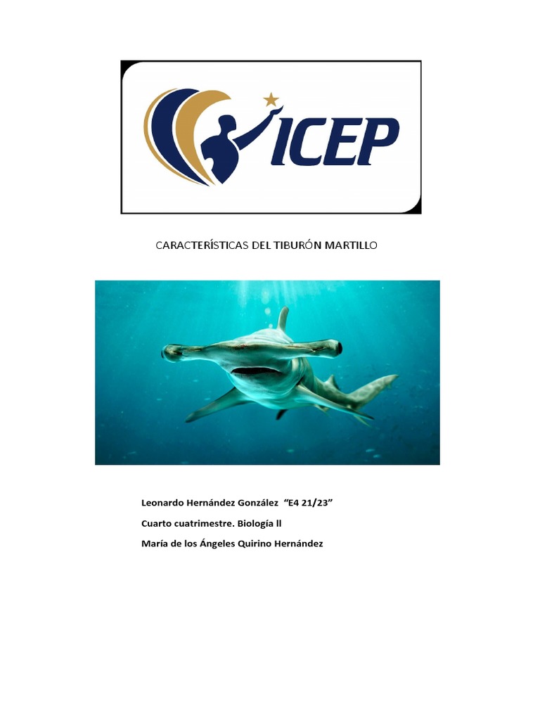 Proyecto Parte 3 | PDF | Tiburones | Taxa
