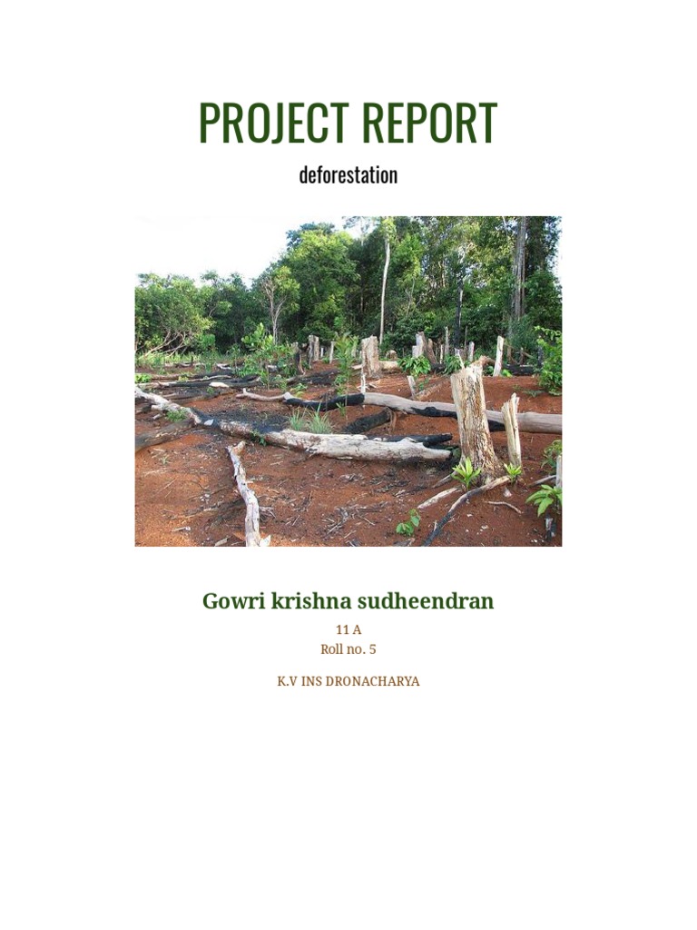 Project Report | PDF | Deforestation | Soil