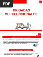Brigada Multifuncional | PDF | Defensa Civil