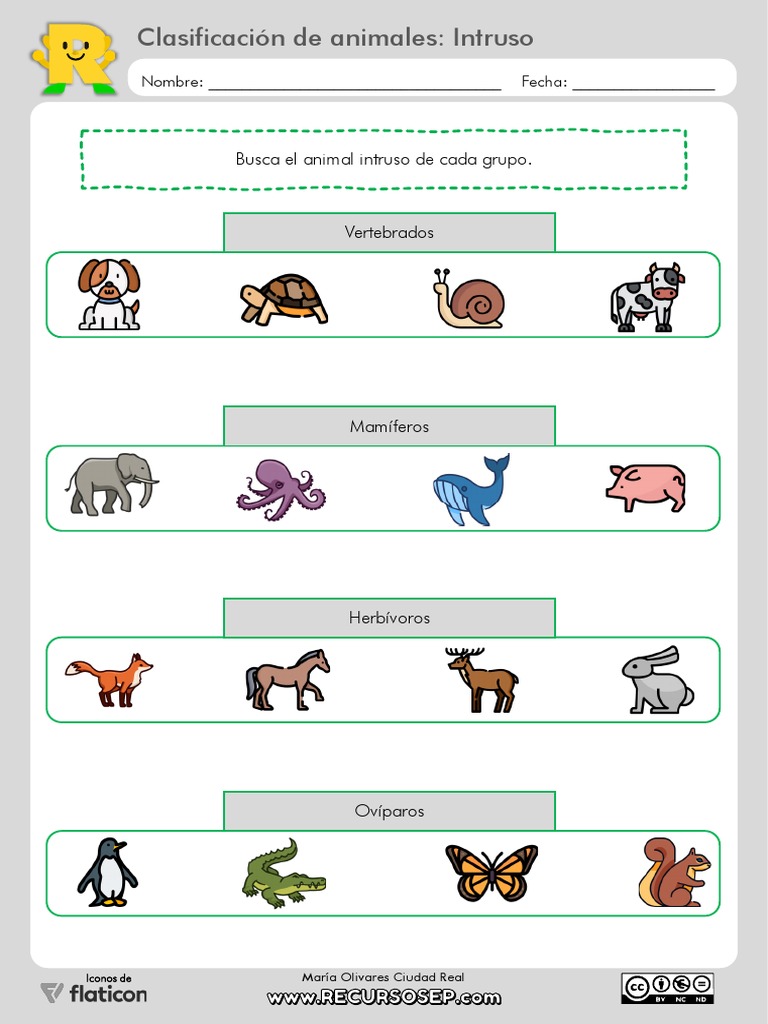 Clasificación De Animales