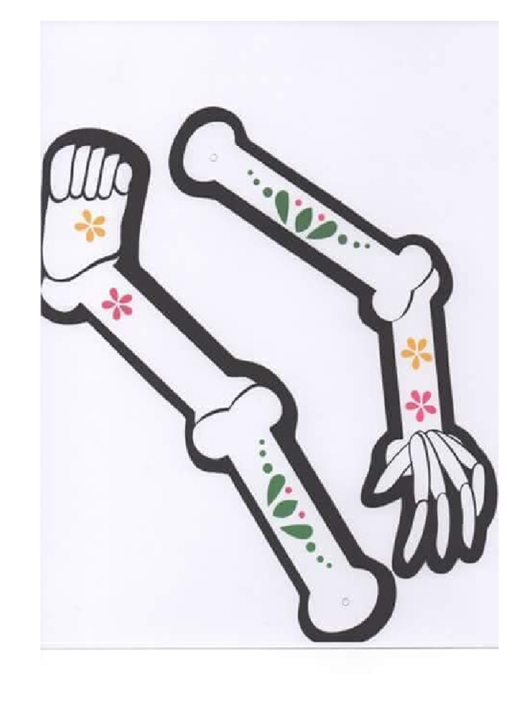 CALACA PARA ARMAR | PDF