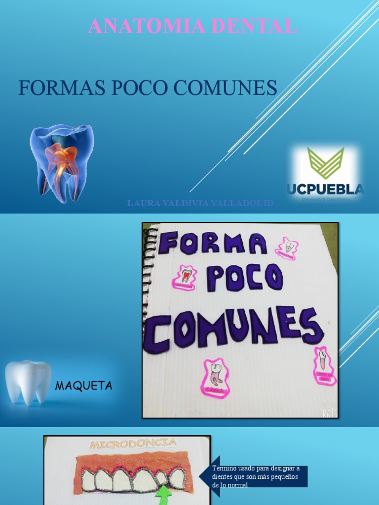 Maqueta Formas Poco Comunes | PDF