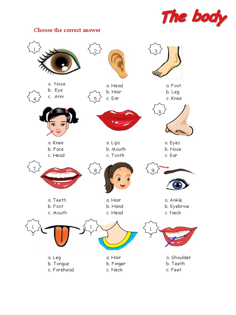 Body Test Tests - 78438 | PDF