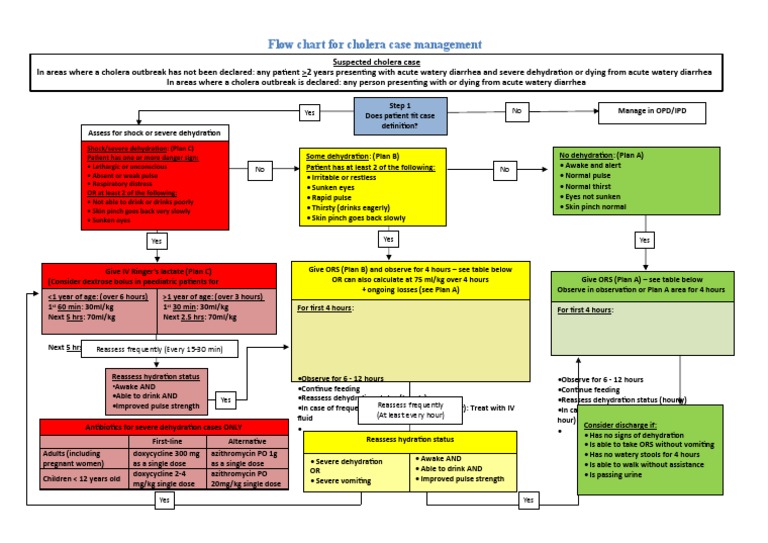 Appendix 11. Flow Chart For Cholera Case Management | PDF | Cholera | Dehydration