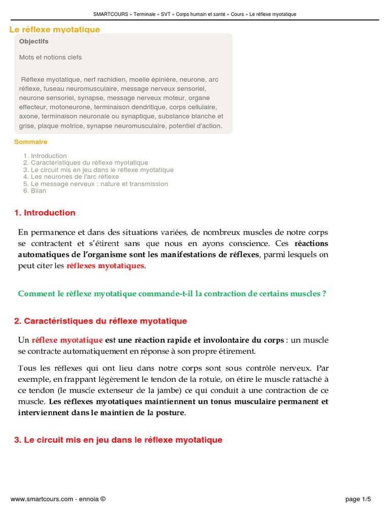 Réflexe Myotatique | PDF
