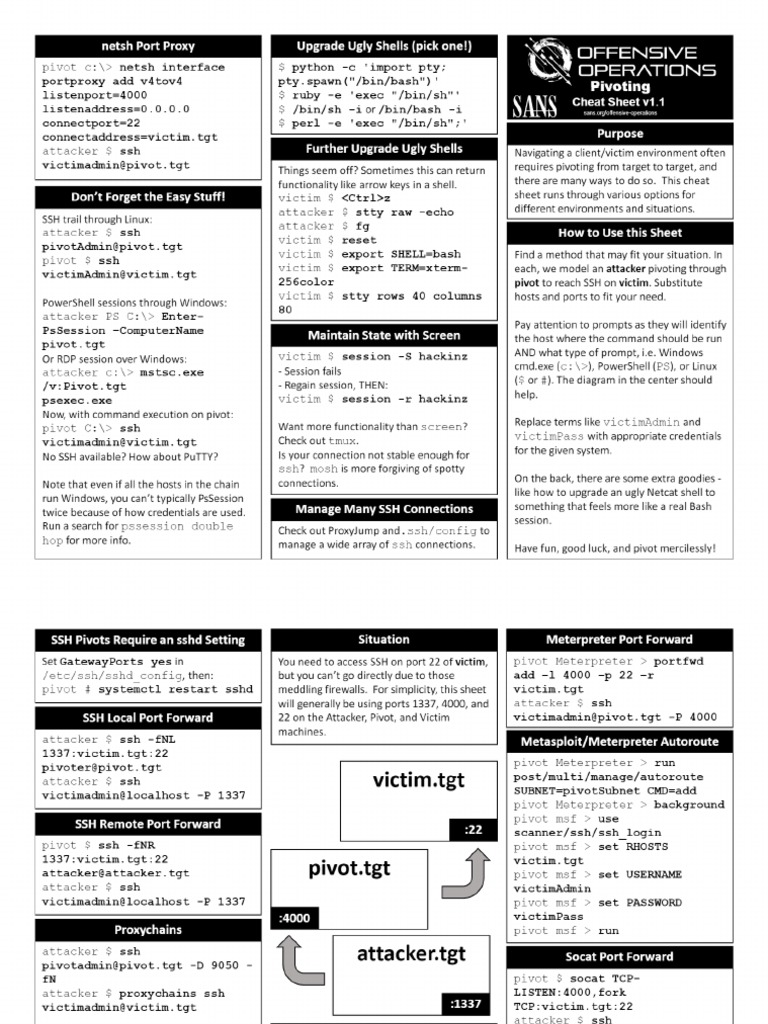 Sans Pivot Cheatsheet | PDF