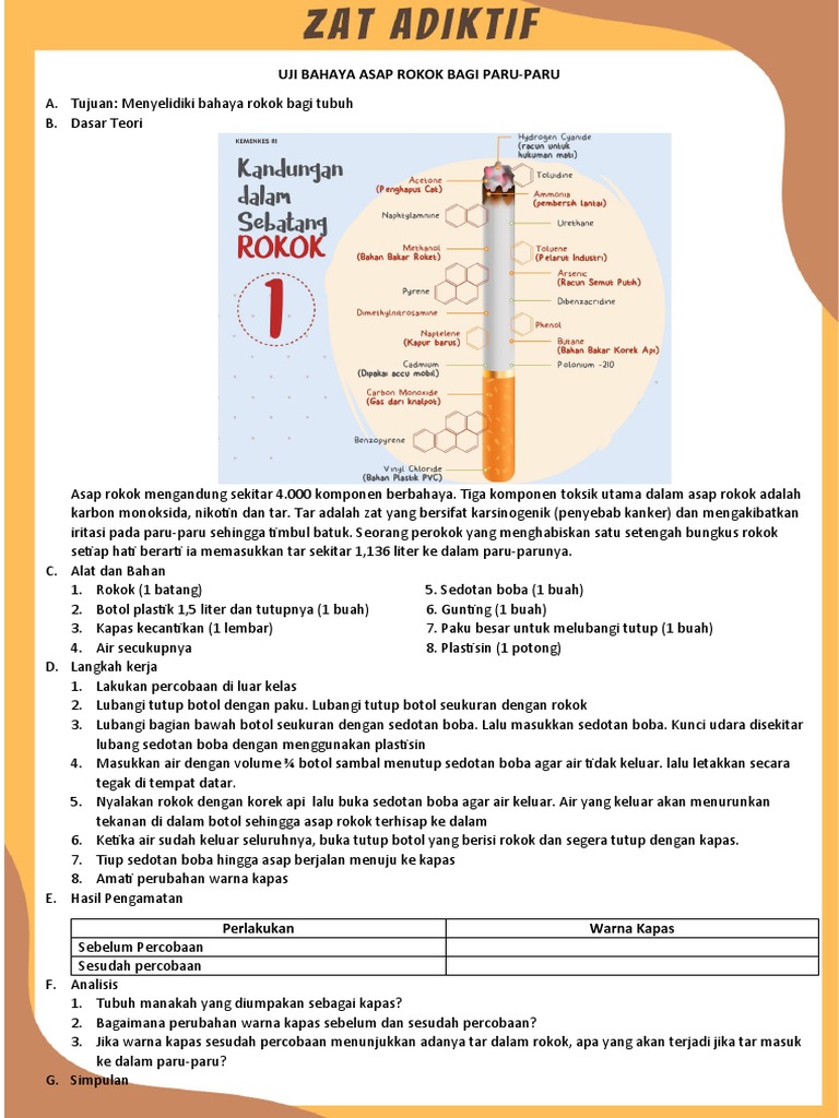 Uji Bahaya Asap Rokok Bagi Paru | PDF