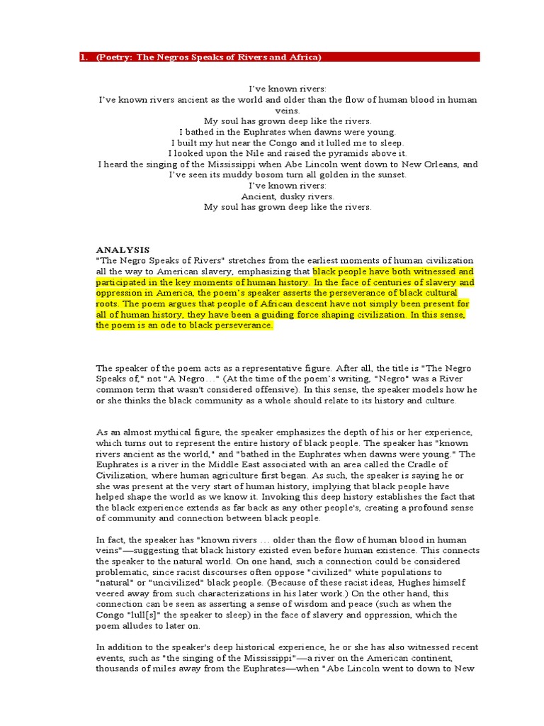 Analysis of Black Identity in Poetry and Novels | PDF