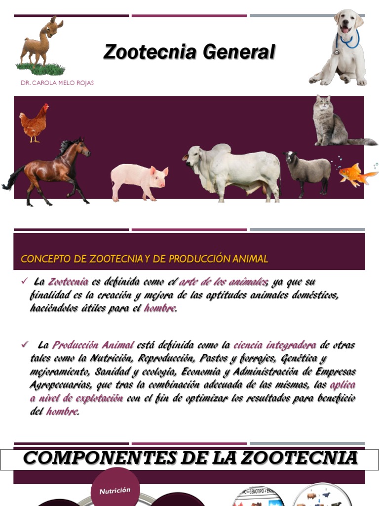 Zootecnia General 1 | PDF | Abdomen | Sistema musculoesquelético