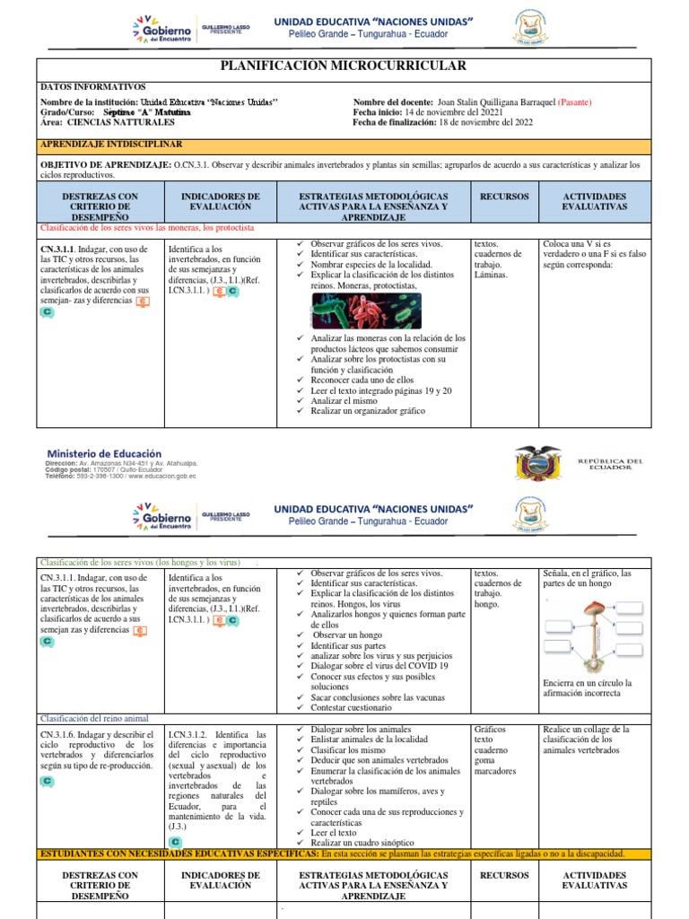 Planificación de Ciencias Naturales | PDF