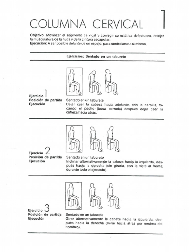 Ejercicios para La Columna | PDF