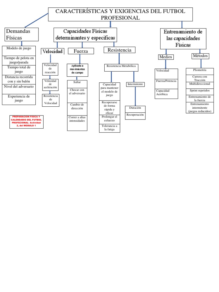 MAPA - Actividad 2 - Modulo 1 | PDF