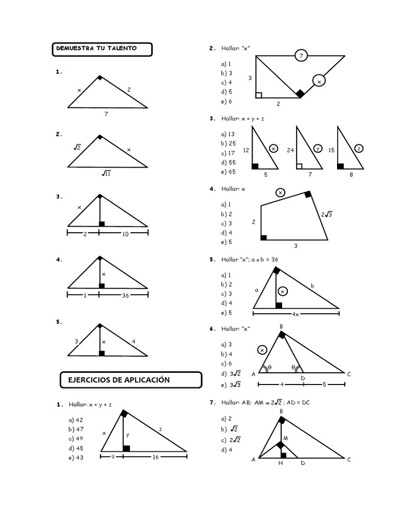 Ejercicios de Triangulos Rectángulos | PDF | Ajedrez