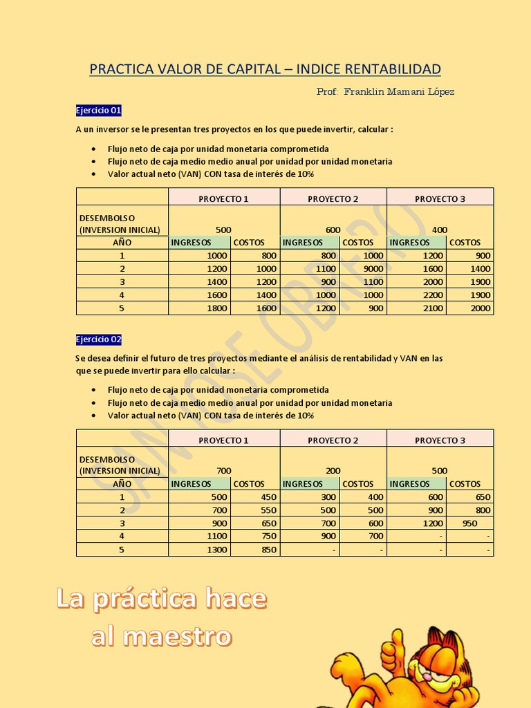 Practica VALOR CAPITAL - INDICE DE RENTABILIDAD SJO | PDF