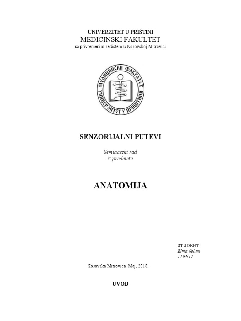 Seminarski Senzorijlani Putevi | PDF