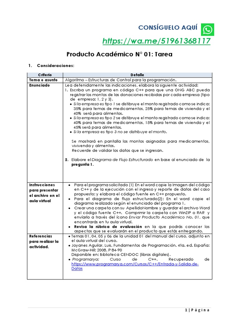 PA 01 Fundamentos Programacion | PDF | Programación de computadoras | C