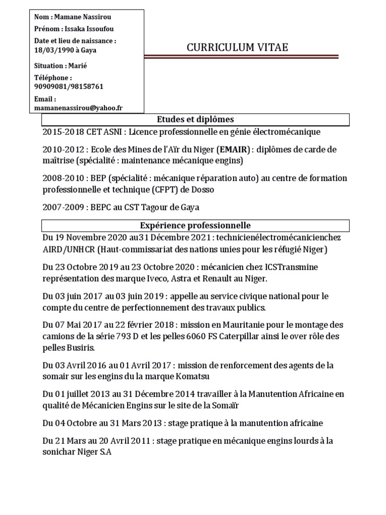 Mon CV Nasser | PDF | Affaires | Ordinateurs