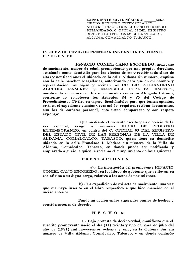 Demanda de Ignacio Coniel | PDF | Demanda judicial | Gobierno