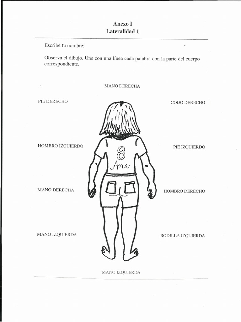 Fichas Lateralidad Primer Ciclo-1 | PDF
